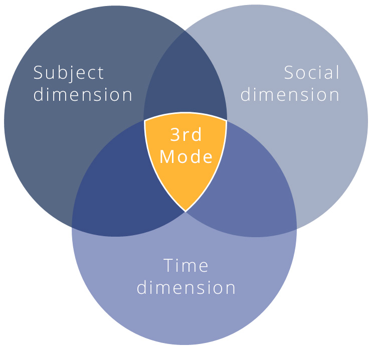Consulting according to the 3rd mode | transformis®